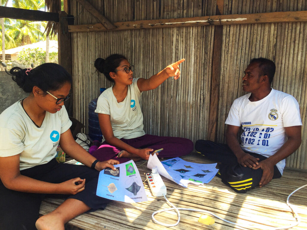 Indonesian Manta Project - Thrive Conservation