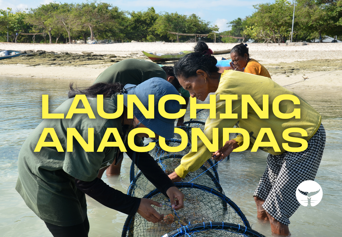 Launching Anacondas - Thrive Conservation
